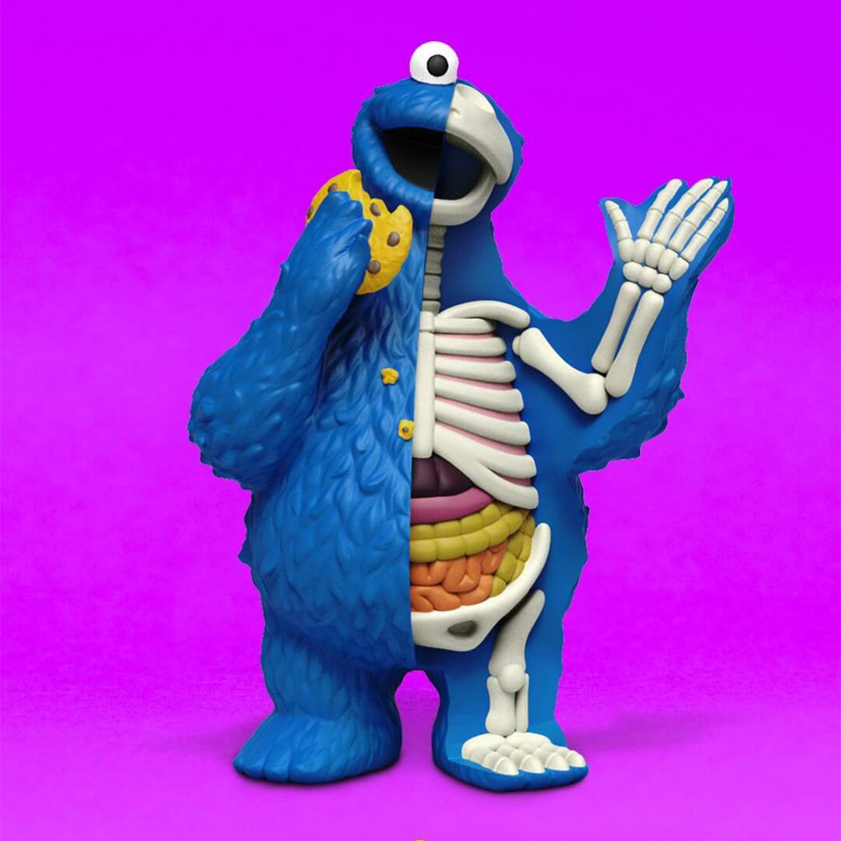 Mighty Jaxx Freenys Hidden Dissectibles Blind Box Sesame Street Cas